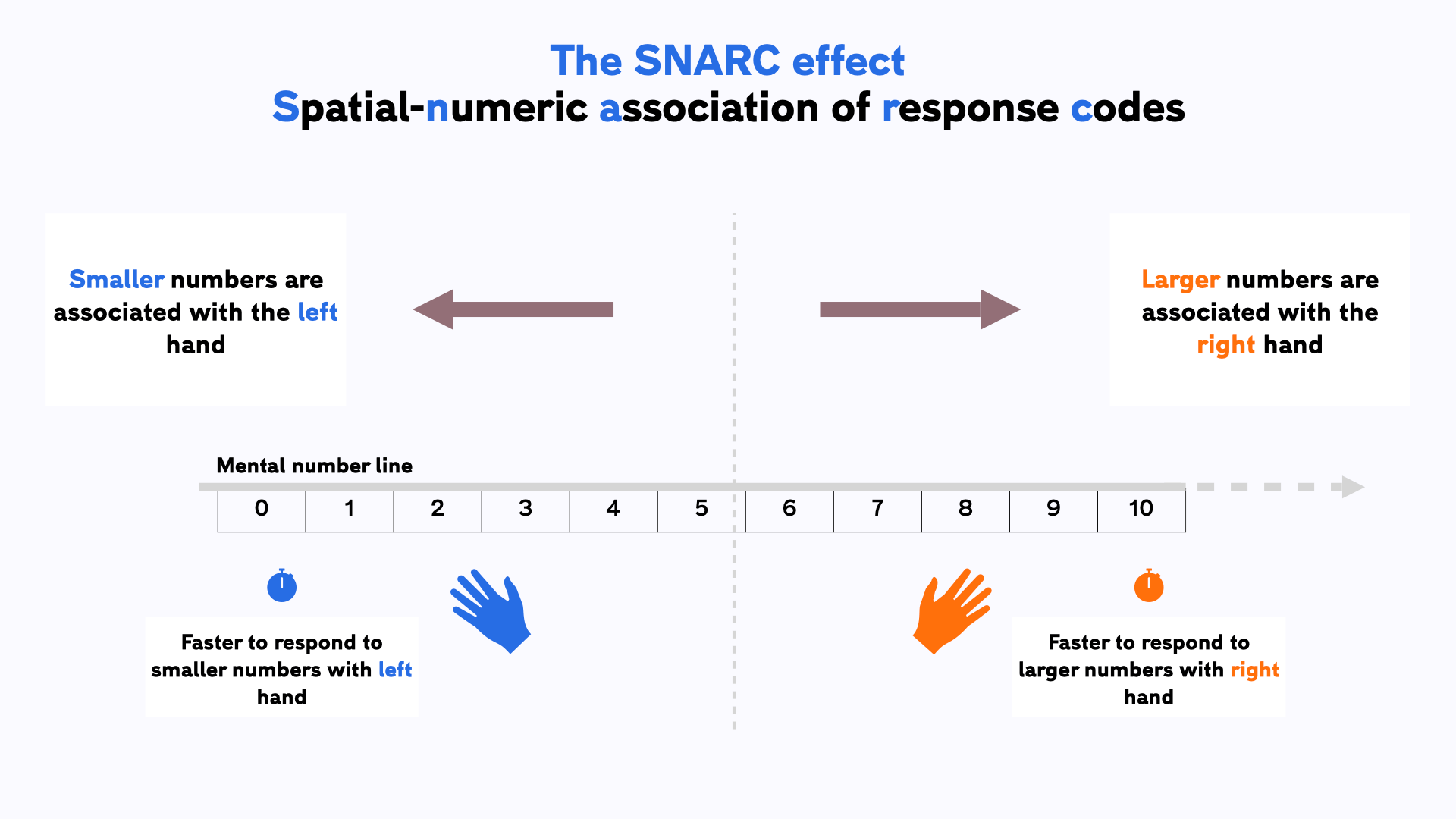 Snarc Effect Task Get Our Template And Adapt It For Your Own Research