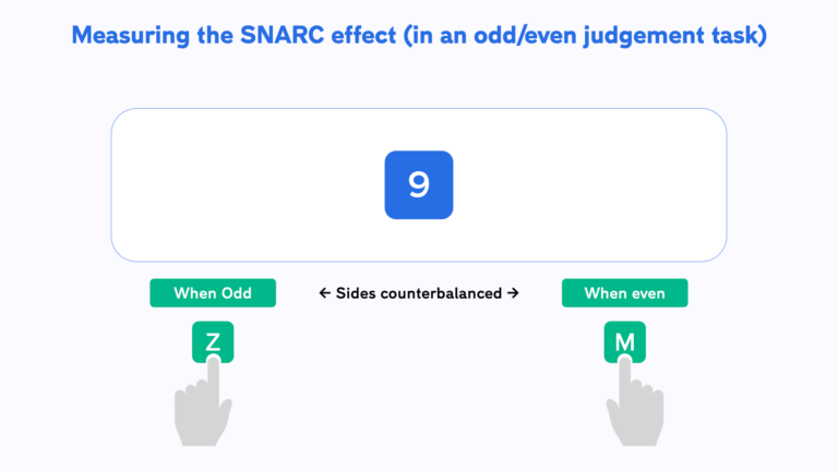 Snarc Effect Task Get Our Template And Adapt It For Your Own Research